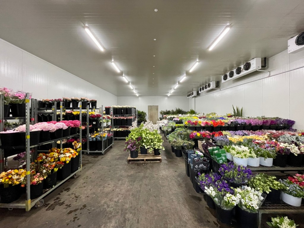 Our story – Australian Flower Group
